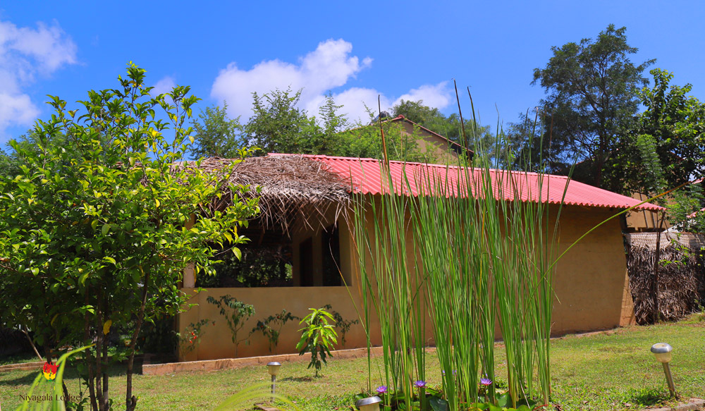 Room Sigiriya - Niyagala Lodge