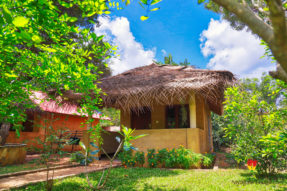 Room Sigiriya - Niyagala Lodge